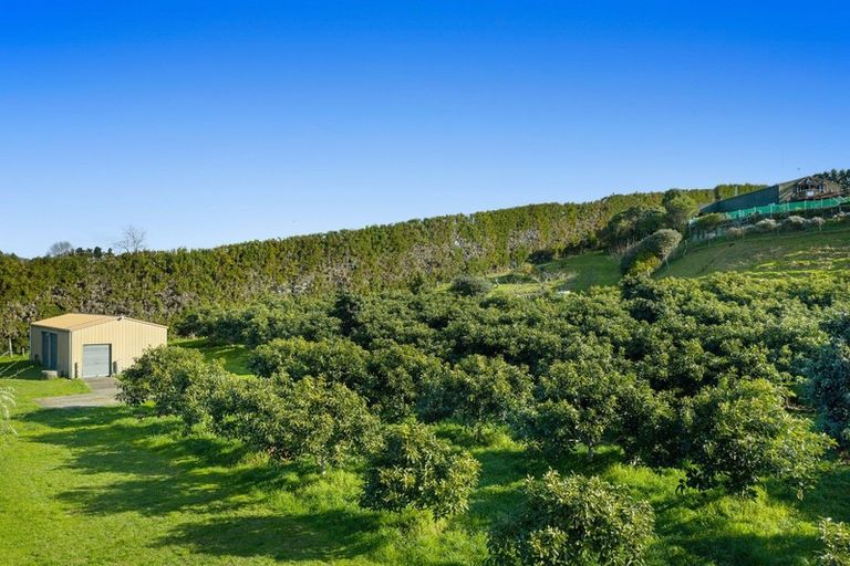 Property details for 333 Paerata Ridge Road, Waiotahe, Opotiki, 3198